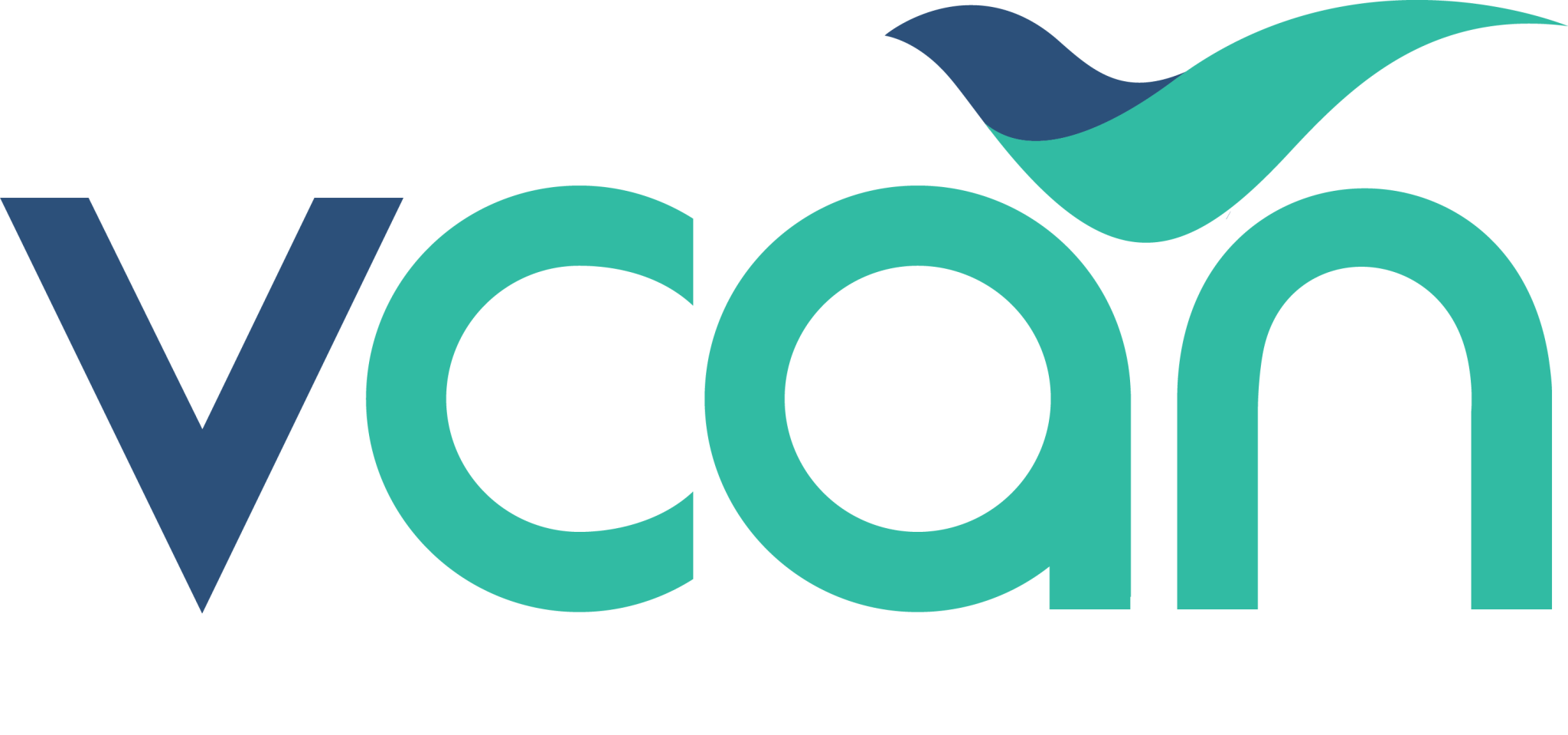 VCAN Tech: IT Solutions & Support Services in India